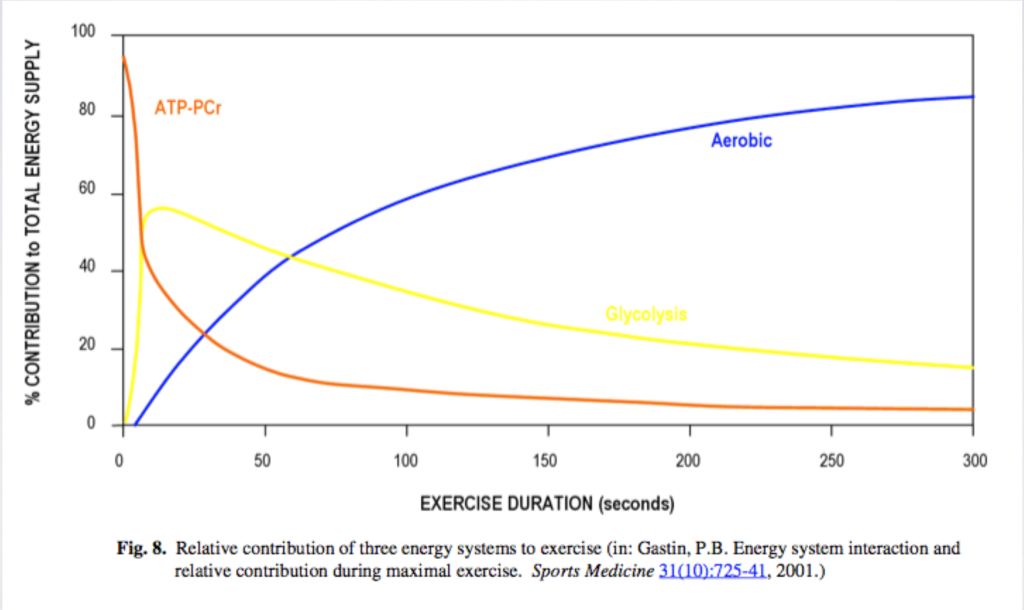 EnergySystems Graph – Indoor Cycling Association